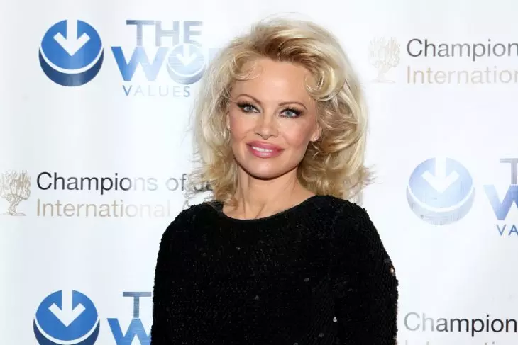 Pamela Anderson Net Worth 2022 - Duk abin da yakamata ku sani 216_2