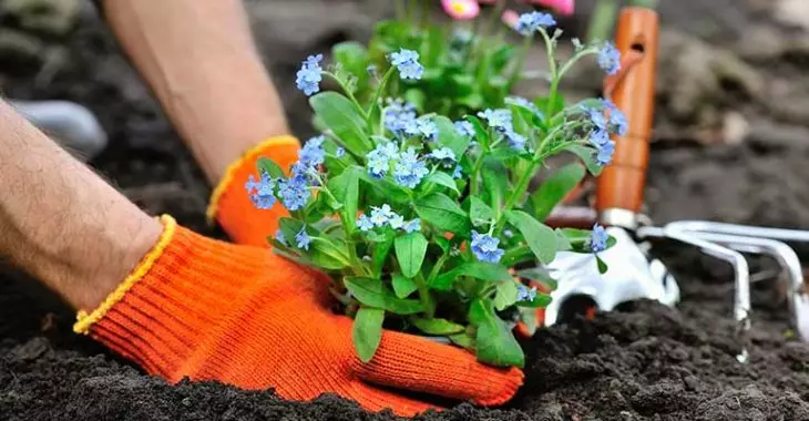 Conseils pour entretenir votre jardin en parfait état 22229_2