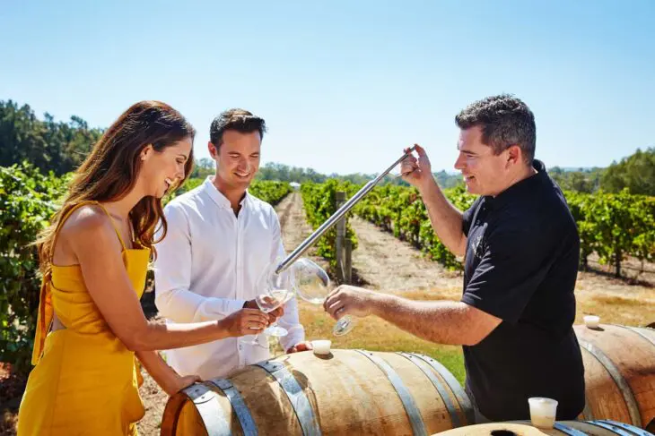 5 đặc quyền tại sao các chuyến du lịch rượu vang tại Thung lũng Swan là tốt nhất cho các bữa tiệc sinh nhật vào mùa hè 2226_1