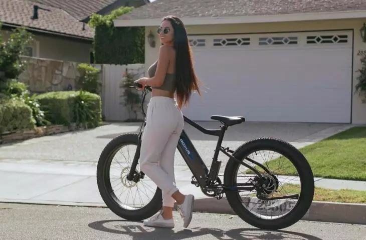 電動胖子自行車——交通的未來？ 2233_1