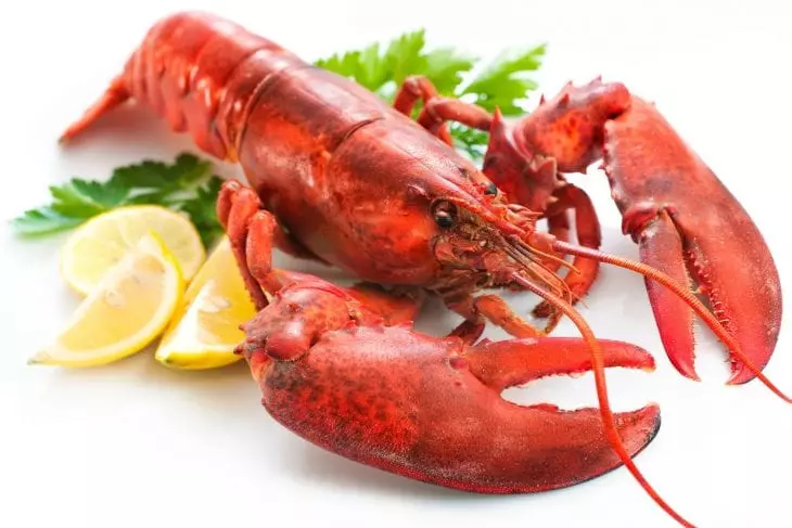 The History of Lobster in America - How Lobster Got Fancy 23017_2