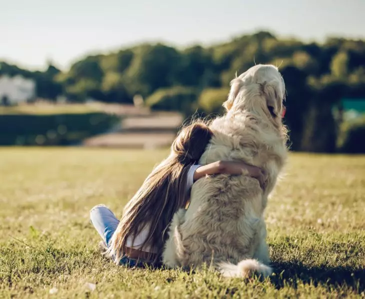 Que importante é manter ben a emoción da túa mascota? 24465_4