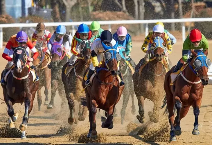 Panduan Gaya dan Etiket Lengkap Anda untuk Festival Cheltenham Mendatang 2480_2