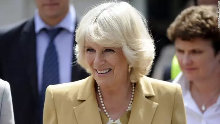 Il rapporto di Camilla con la famiglia reale 24974_1