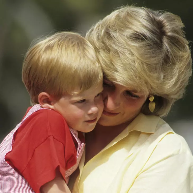 Alam ba ni Prince William ang tungkol sa relasyon ni Prince Charles kay Camilla Parker Bowles? 24981_2