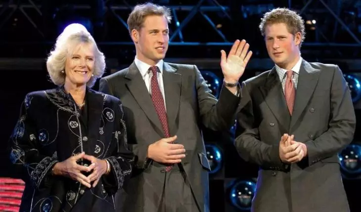 Il principe William sapeva della relazione del principe Carlo con Camilla Parker Bowles? 24981_3