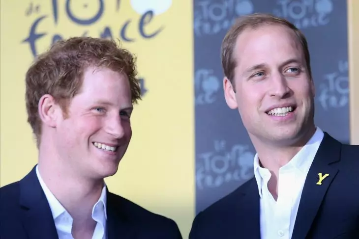 Vergleichen die Leute Prinz William und Prinz Harry? 25070_5