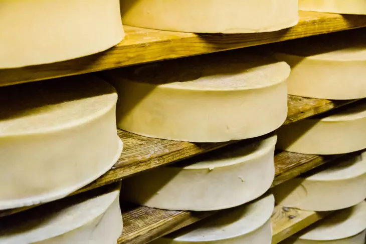 Qual é o melhor substituto do queijo Fontina? 2556_2