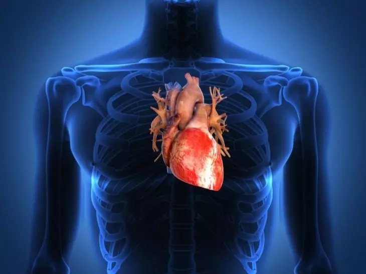 Une introduction à la cardiologie non invasive 25879_2