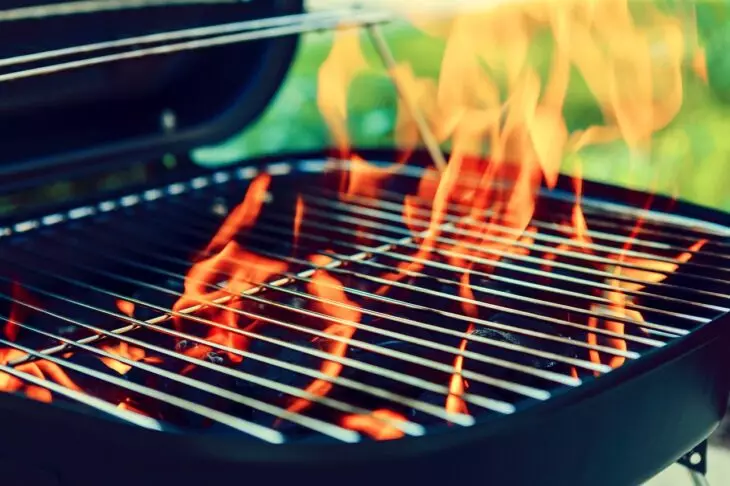 為什麼木炭烤架最適合您的後院燒烤野餐？ 2592_2