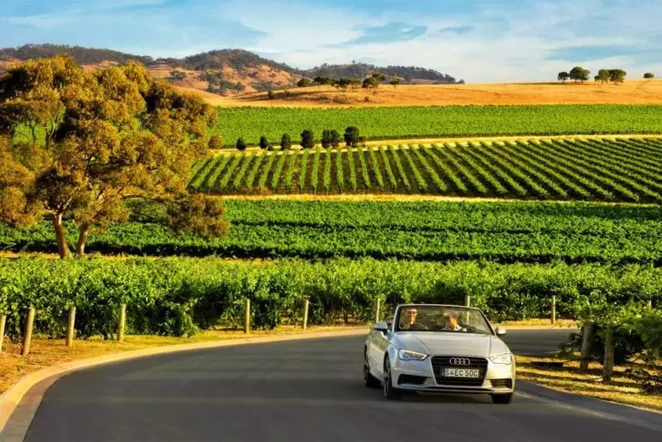 Wine Connoisseurs များအတွက် Australia တွင်နေထိုင်ရန် အကောင်းဆုံးနေရာ 5 ခု 26155_3