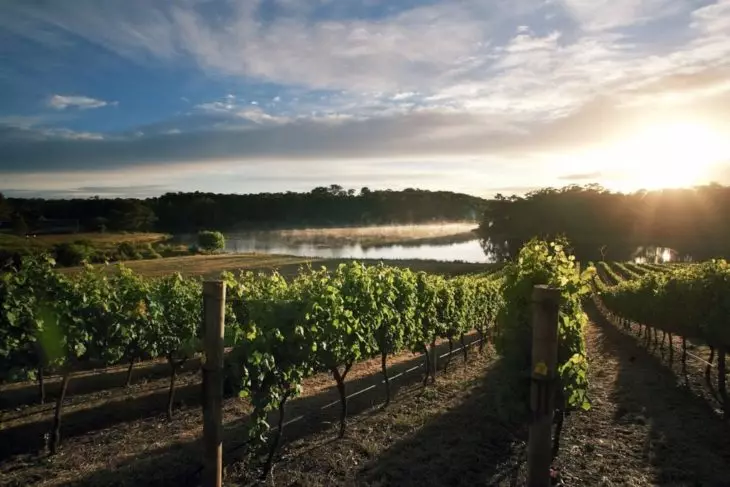 5 geriausios vietos gyventi Australijoje vyno žinovams 26155_5