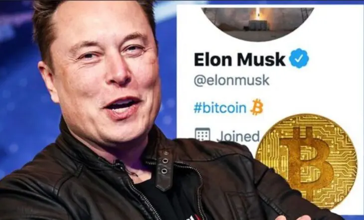 Ingaruka za Tweets za Elon Musk kuri Bitcoin & Ibindi Cryptocurrencies 2630_4
