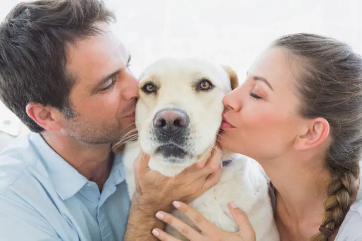 17 consejos para adoptar mascotas en pareja 2636_4
