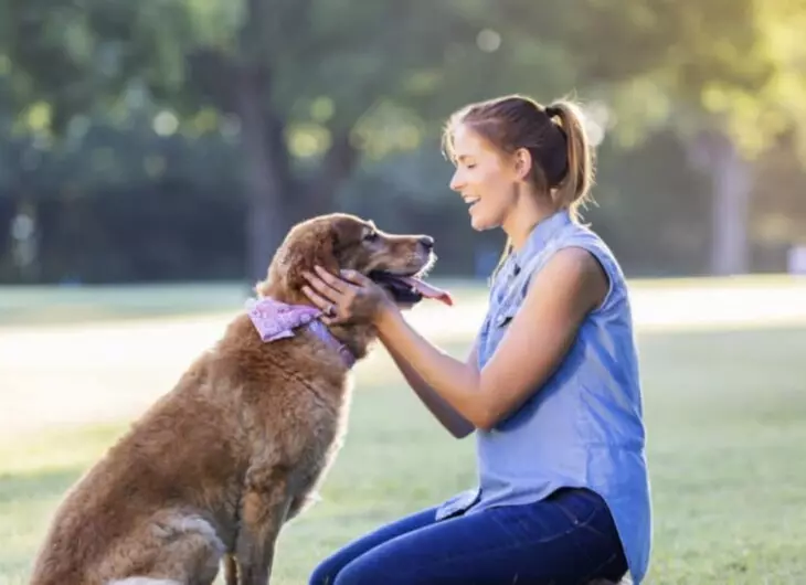 العلاقة بين الصحة العقلية للإنسان والكلاب موجودة: إليك ما تحتاج إلى معرفته 2641_2