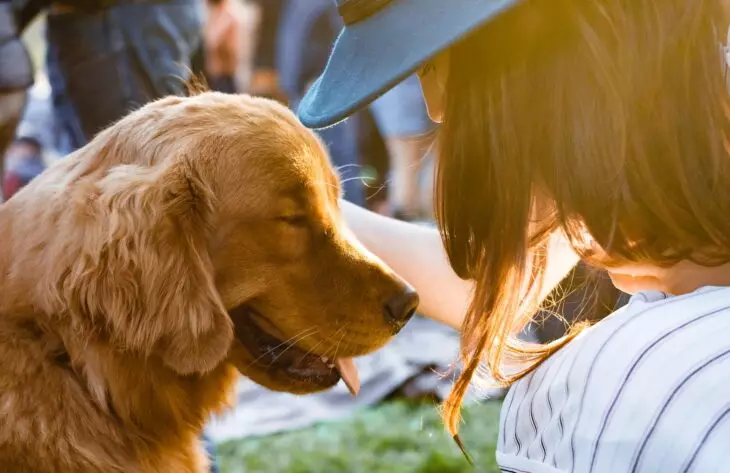 Existe a conexión entre a saúde mental dos humanos e os cans: aquí tes o que necesitas saber 2641_4