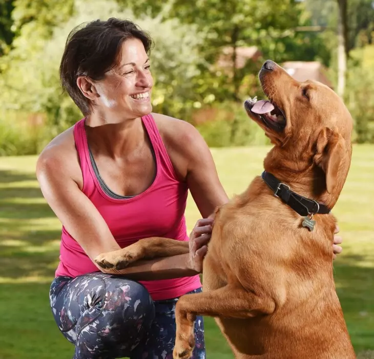 Alles wat jy en jou hond nodig het om saam te hardloop 2650_2