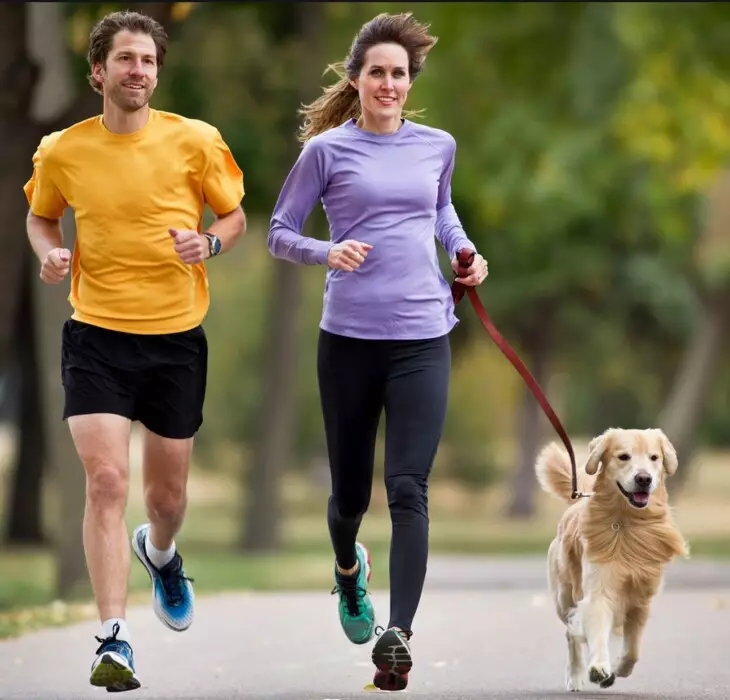 Tutto ciò di cui tu e il tuo cane avete bisogno per correre insieme 2650_3