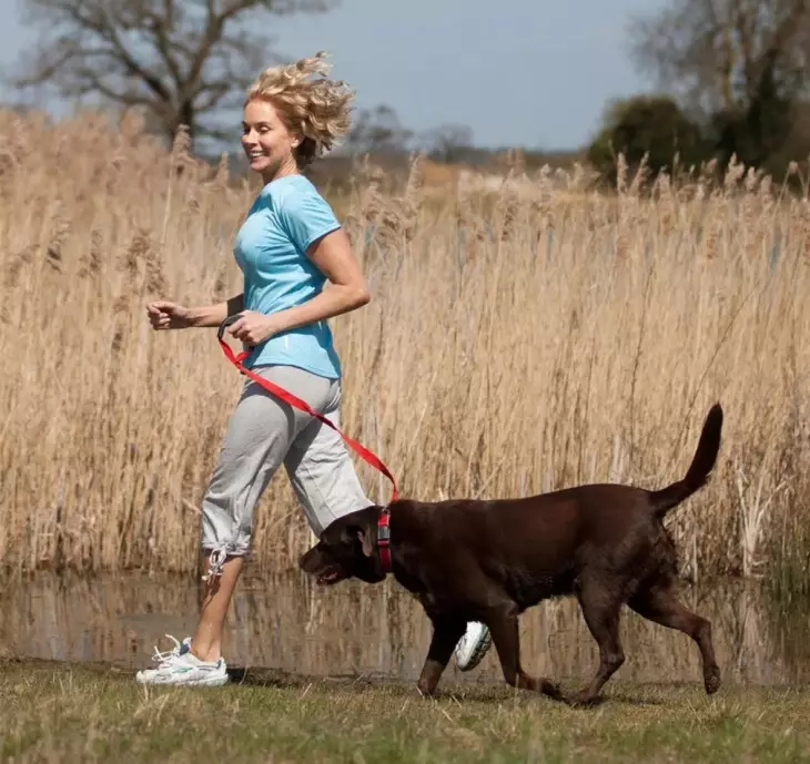 Alles wat Dir an Ären Hond braucht fir Zesummen ze lafen 2650_4