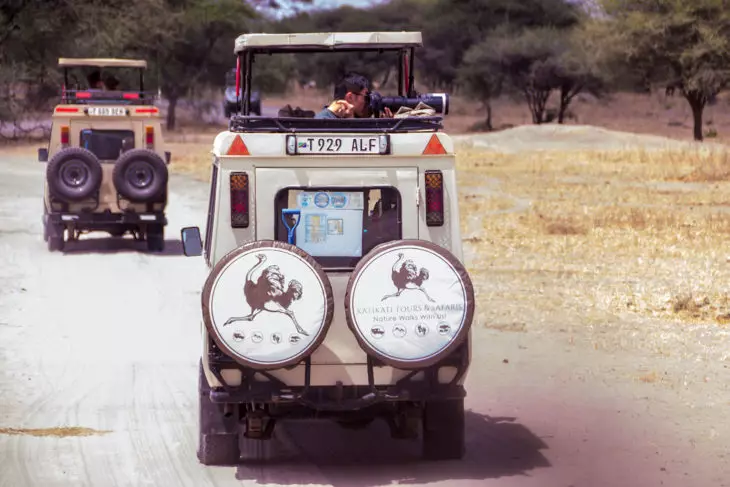 Hoe maak je een budgetsafari in Tanzania in 2022? 26621_1