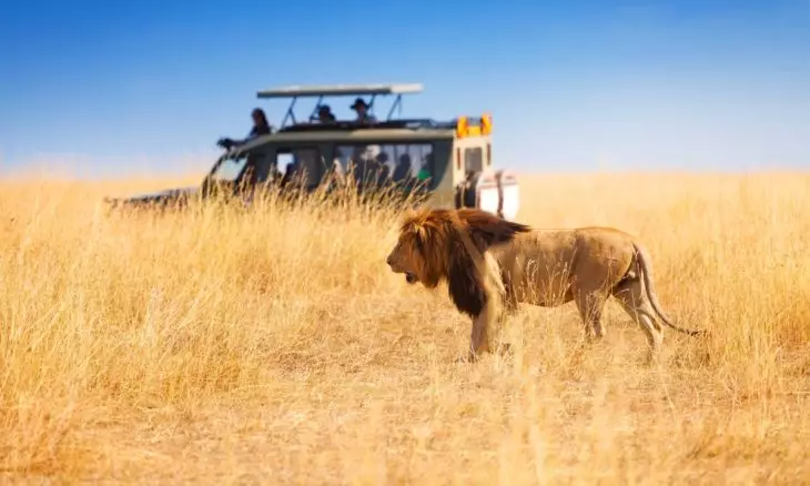 Hoe om 'n begrotingsafari in Tanzanië in 2022 te doen 26621_5