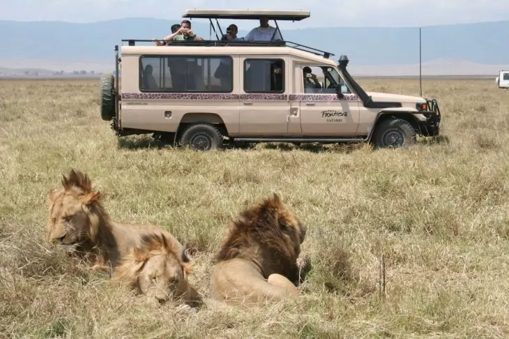 5 choses à ne pas faire lors d'un safari 26623_2