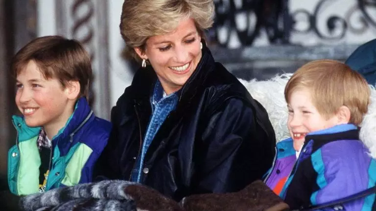 Em fêr dibin ku Diana di Diana ya Andrew Morton de got: Çîroka wê ya rastîn ku li ser wê yekê şer tune bû ku dê çawa kurên wê bi navên