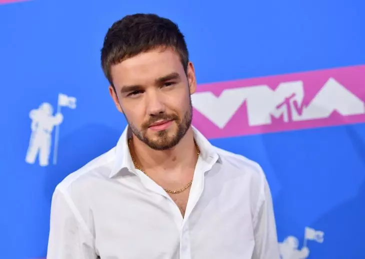 Liam Payne ھەققىدىكى ئەقىلنى ئۇرغۇتىدىغان پاكىتلار 26954_2