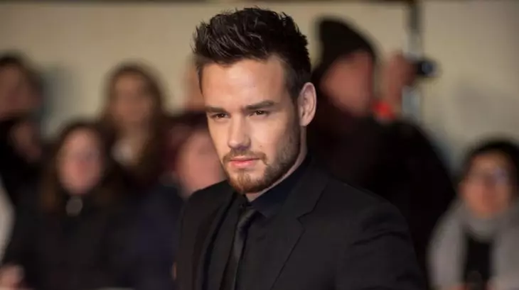 Eksterordinaraj Faktoj Pri Liam Payne 26954_3