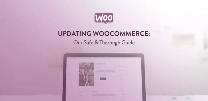 نېمە ئۈچۈن WooCommerce تور دۇكىنىڭىز ئۈچۈن توغرا ھەل قىلىش چارىسى؟ 27191_1