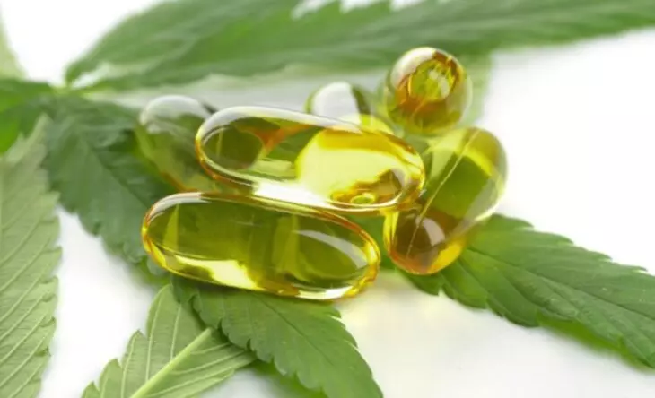 CBD Softgels: क्रान्तिकारी स्वास्थ्य चक्की 27833_4