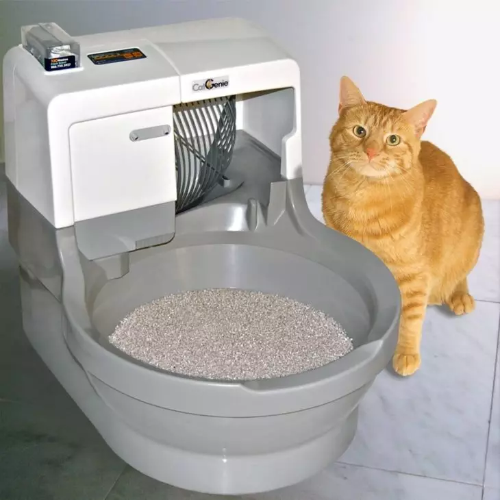 Melemo ea The Best Self Cleaning Litter Box Ha U Rua Katse 27926_3