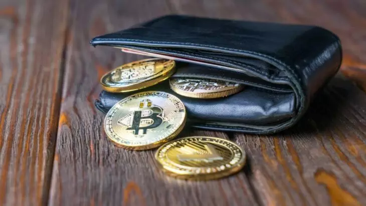 Ingabe Kungcono Ukugcina I-Crypto Ku-Wallet noma Ukuhwebelana 2799_2