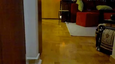 Sala Me Di Hevdîtinê de Wekî ku Di GIF-an de tê gotin 28270_7