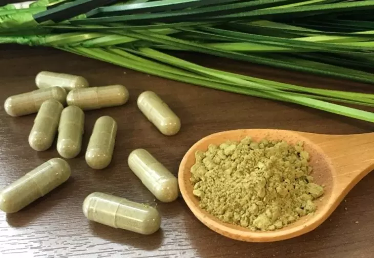 يۇقىرى سۈپەتلىك Kratom نى سېتىۋېلىشنىڭ 8 خىل ئۇسۇلى 30038_8