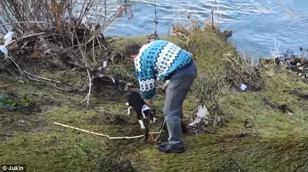 Héroes valientes rescataron a un perro de un río salvaje 30430_2