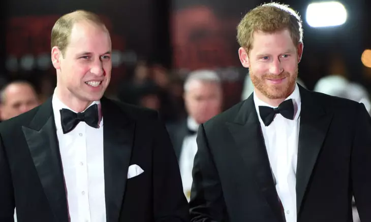 Harry, William'ın sahip olabileceği mükemmel erkek kardeş mi? 31047_5