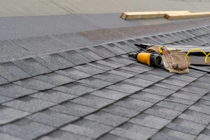 住宅所有者のための一般的な屋根板の問題 3177_4