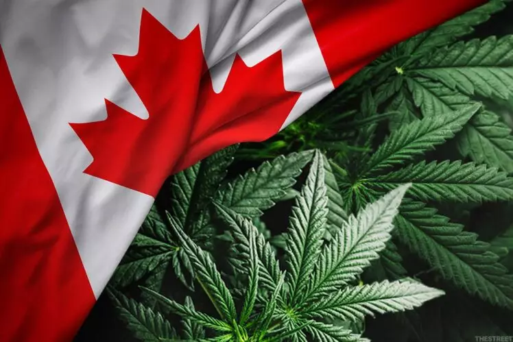 Legal nga Cannabis: Giunsa Pagtubo ang Legal nga Cannabis sa Canada