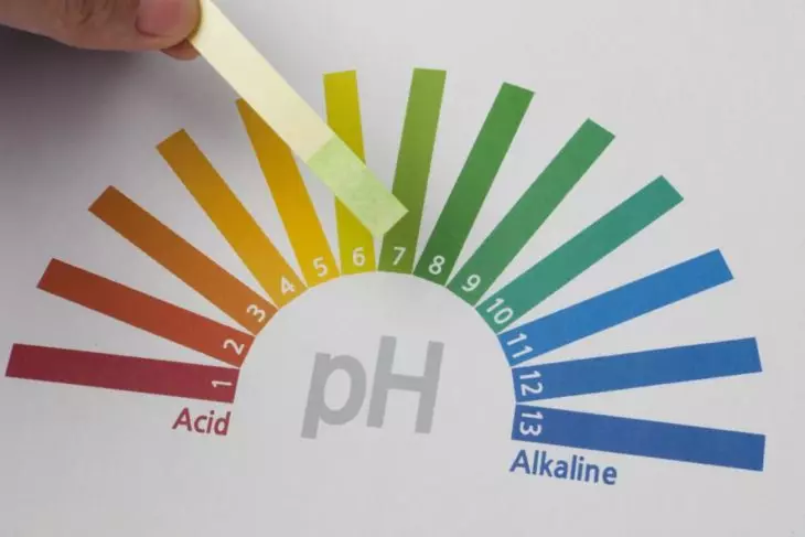 Kennen Sie den pH-Wert Ihres Wassers? Was ist der pH-Wert? 32792_2