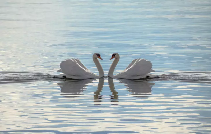 Soulmate Stories: Fra molt zukünfteg Mann ier hatt him begéint 33587_2