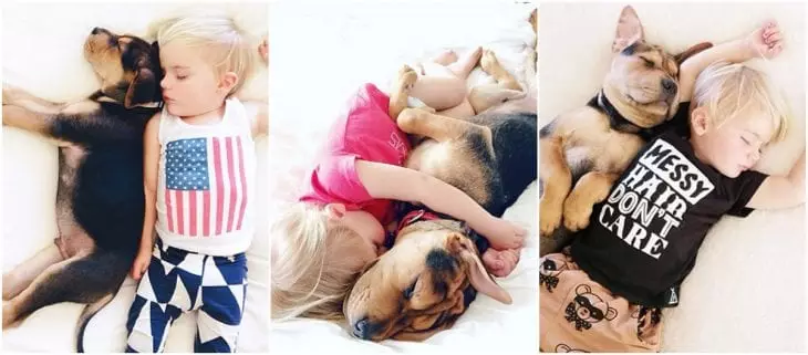 Unha verdadeira historia de amizade: un neno e un cachorro que ninguén quería 35025_4