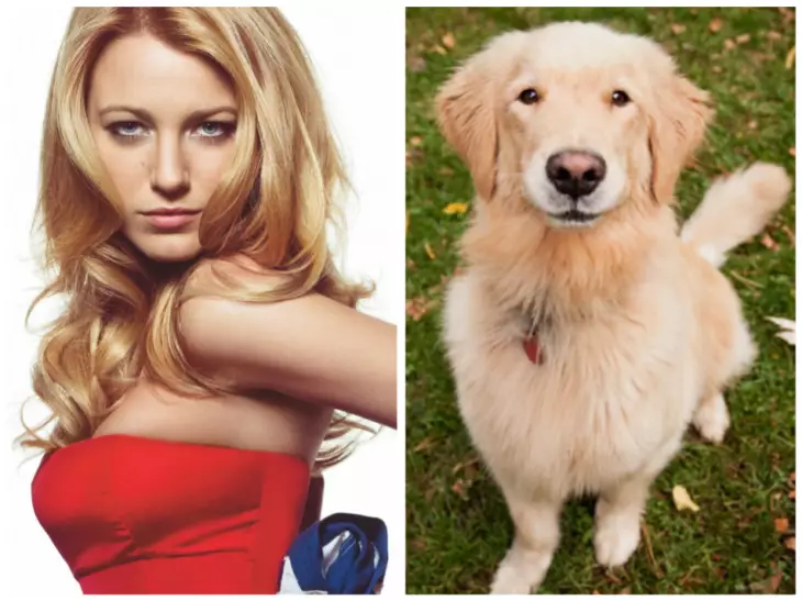 14 célébrités qui ressemblent à des chiens du Westminster Kennel Club 35571_10