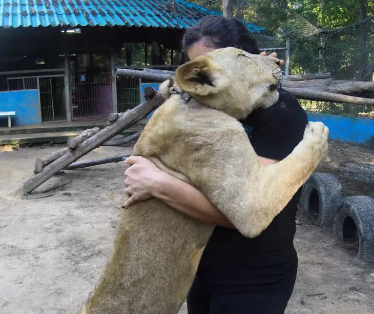 20 lindos animales que adoran los abrazos 35848_4