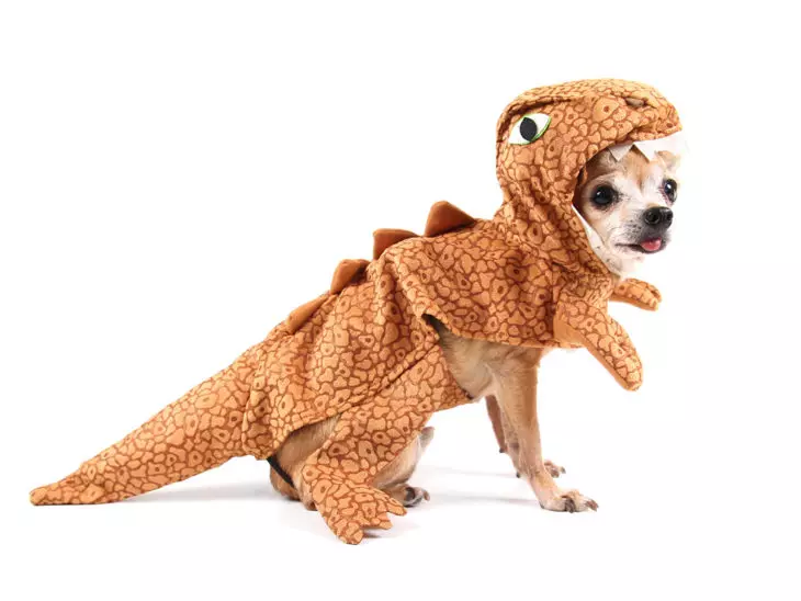 Halloween-stiler: Dinosaurkostymer er alltid på moten 37310_3