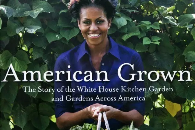 Kan Michelle Obama lide at lave mad? 38647_1