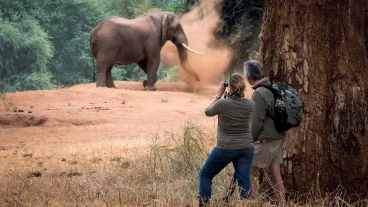 5 geweldige plaatsen om te bezoeken in Zuid-Afrika - Reisgids 2022 3908_1