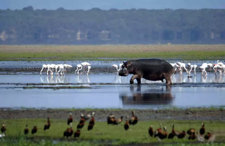 5 nevjerojatnih mjesta za posjetiti u Južnoj Africi - turistički vodič 2022 3908_4