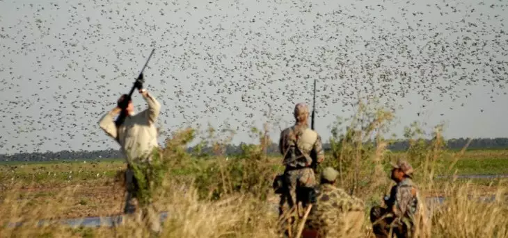 Sve o lovu na golubice u Argentini 39192_2