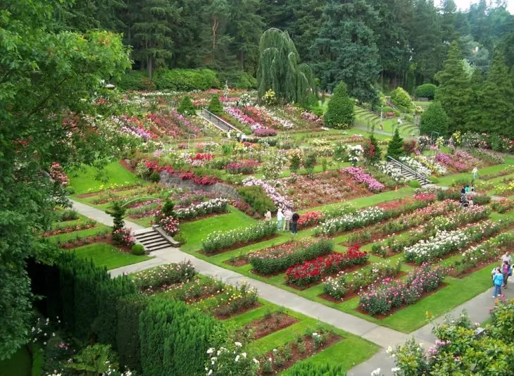 Reisporno: 10 geweldige plakken om de blommen te stopjen en te rûken 39415_2